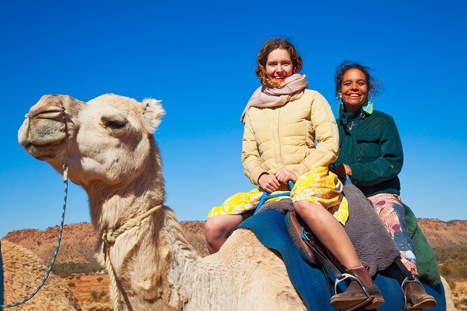 Alice Springs Camel Tour - Who Would Love This Tour?