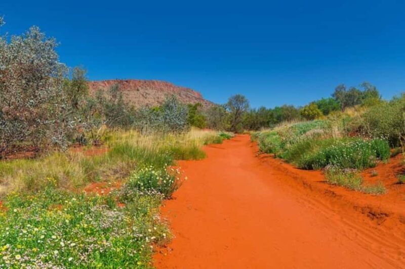 Alice Springs: Desert Park Entry Ticket - Practical Tips for Your Visit