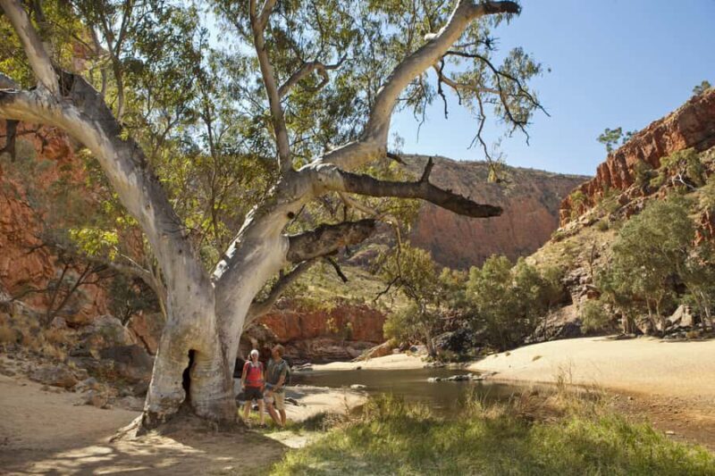 Alice Springs: Larapinta Hiking Trail 5 Day Adventure Safari - Key Points
