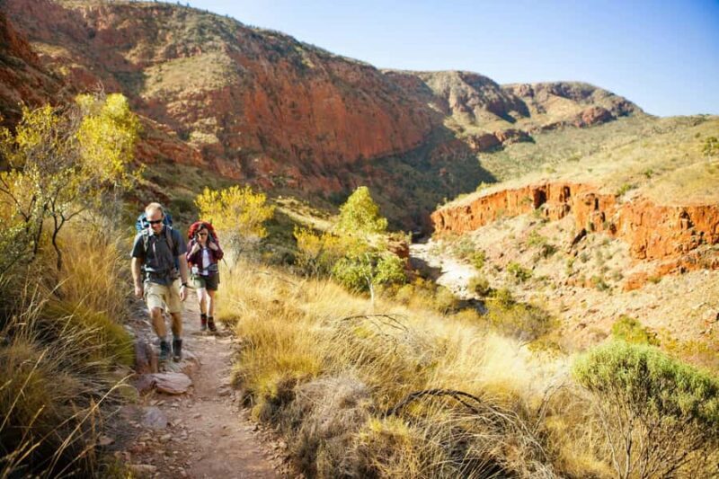 Alice Springs: Larapinta Hiking Trail 5 Day Adventure Safari - Final Thoughts