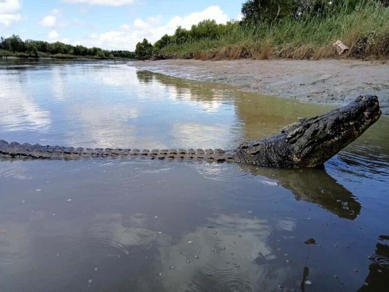 Alice Springs: Personalized Tour in the Northern Territory - FAQs