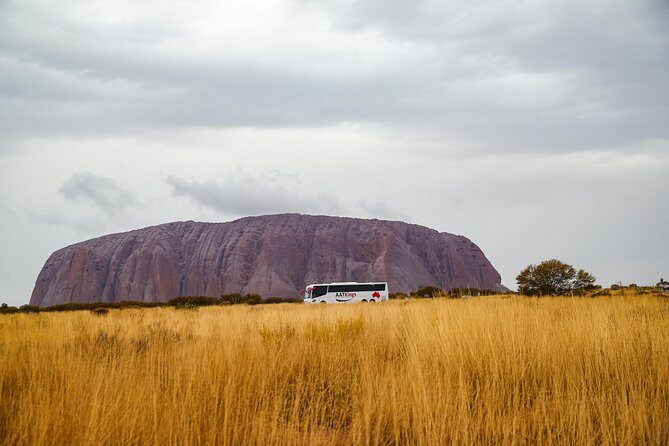 Alice Springs to Ayers Rock (Uluru) One Way Shuttle - Experience Authenticity