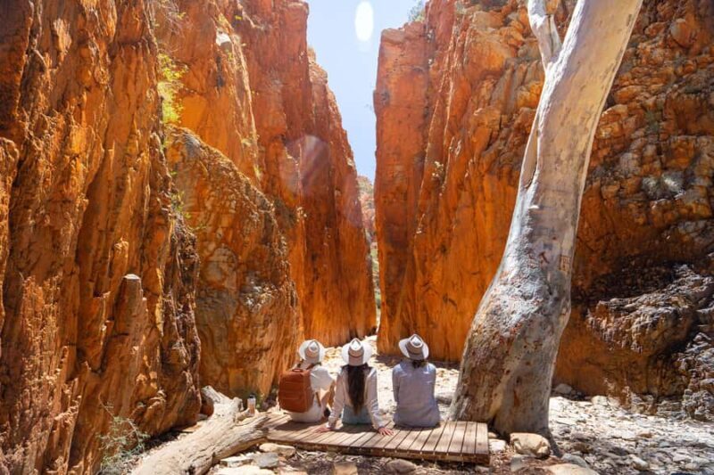 Alice Springs: West MacDonnell Ranges Day Tour with Lunch - A Deep Dive into the Experience