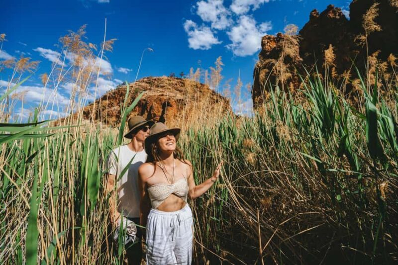 Alice Springs: West MacDonnell Ranges Day Tour with Lunch - Who Will Love This Tour?