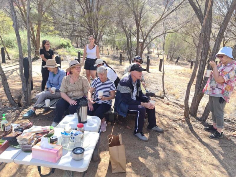 Alice Town and Country Half Day Sunset Tour -Small Group - Introducing the Alice Town and Country Half Day Sunset Tour — Small Group