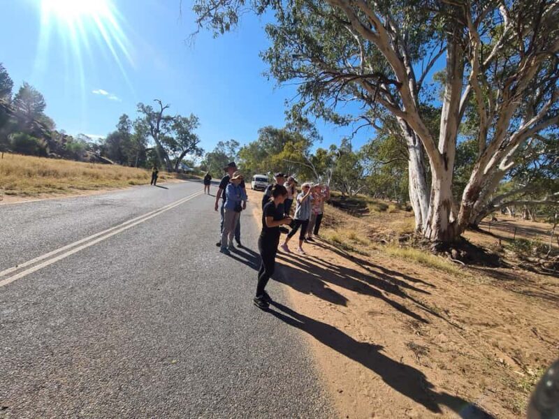 Alice Town and Country Half Day Sunset Tour -Small Group - FAQ