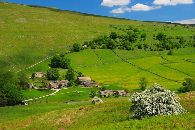 All Creatures Great and Small from Windermere - Who Would Love This Tour?