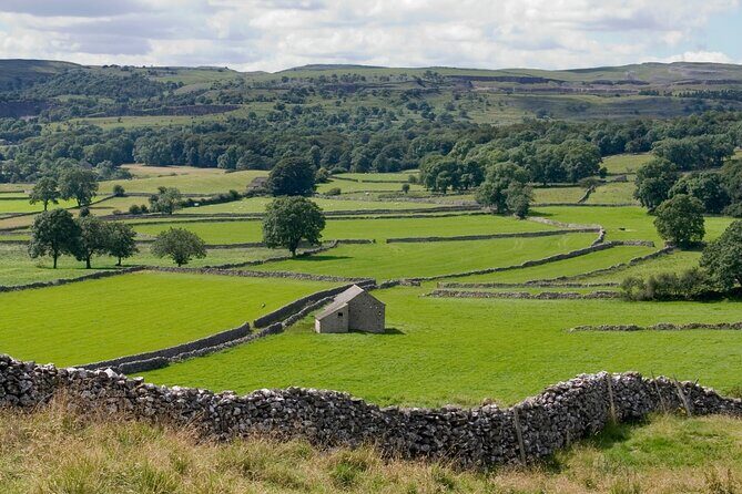 All Creatures Great and Small from Windermere - FAQs: Your Practical Questions Answered