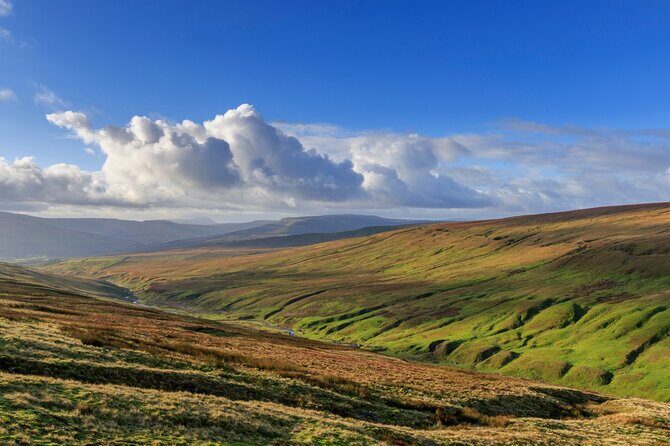 All Creatures Great and Small Tour from York - Final Thoughts: Is It Worth It?