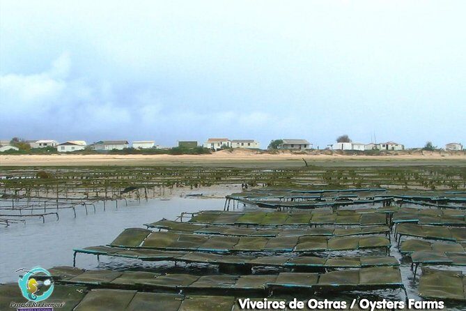 All Day Route in Fuseta - Who Is This Tour Best For?