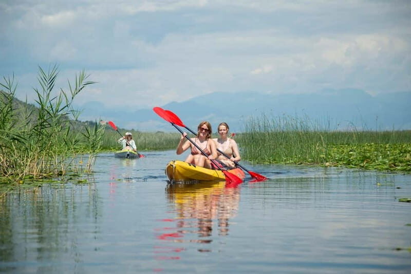 All Day Self-Kayaking to secret spots and wildlife observing - Why This Tour Offers Great Value
