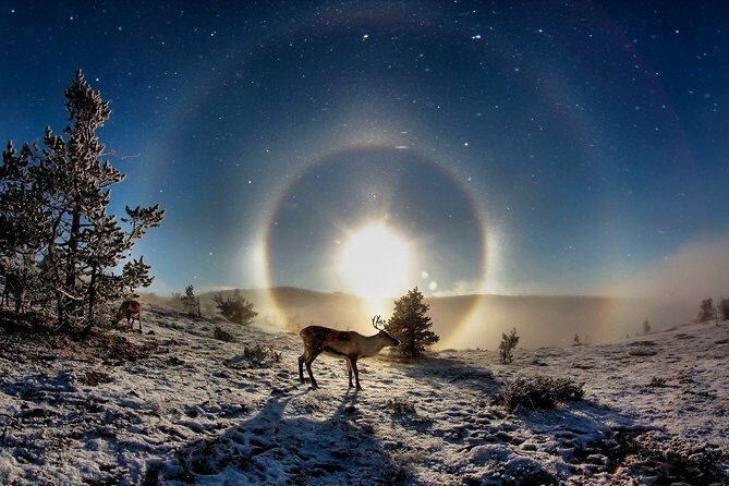 All Day Snowmobile Driving - The Itinerary in Detail