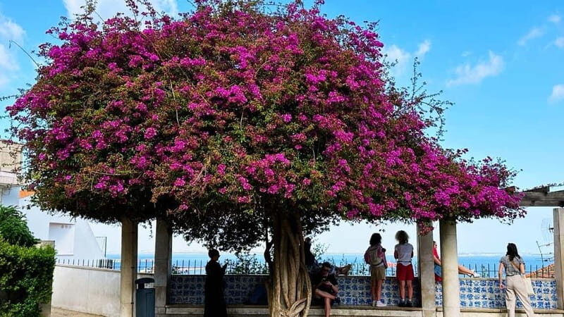 All Historical Lisbon Tuk Tuk Tour - Who Should Consider This Tour?