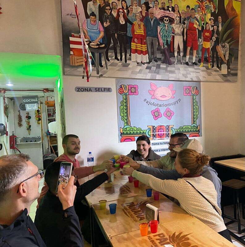 All-in-one CDMX adventure - Who Should Book This Tour?