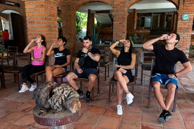 All-in-one PV Experience: Suspension bridge, Quads, Buggies, Ziplines and Mules - FAQ