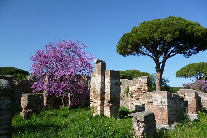 All-included Guided Tour of Ancient Ostia from Rome with Hotel Pickup & Drop Off - The Sum Up
