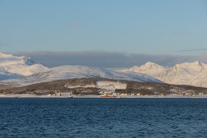 All-Inclusive Arctic Fjords and Sommarøy Scenic Tour - The Sum Up: Is This Tour for You?