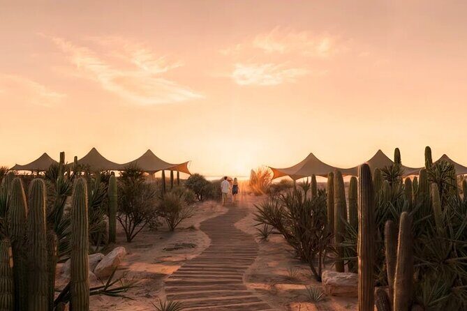 All inclusive Beach and Kids Adventure Park Experience - Who Is This Tour Best For?