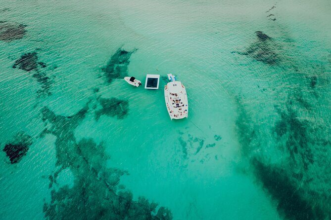 All Inclusive Cancun Party DJ Evening Beat in 51' Leopard - FAQ