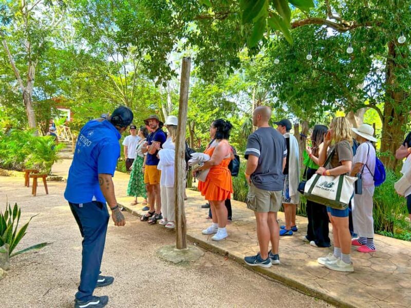 All-Inclusive: Chichen Itza & Cenote from Cancun - The Experience from the Traveler’s Perspective