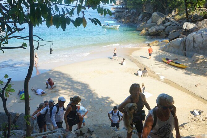 All-inclusive Colomitos cruise and Animas beach snorkeling - Who is this tour best suited for?