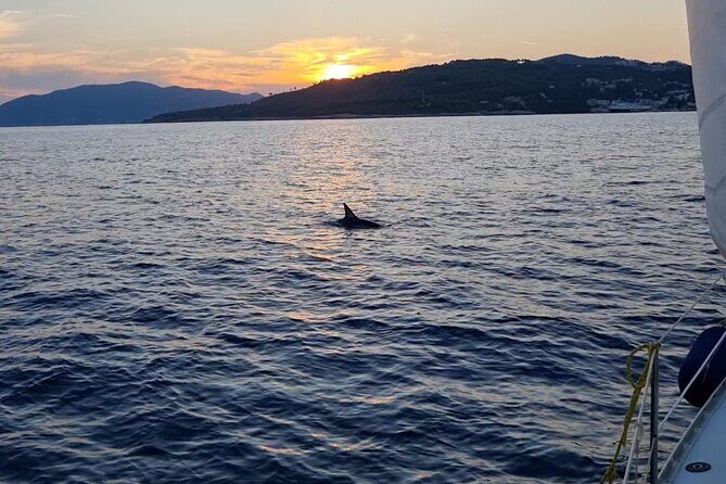 All Inclusive Daily Sailing with BBQ on Board - Who Is This Tour Best For?