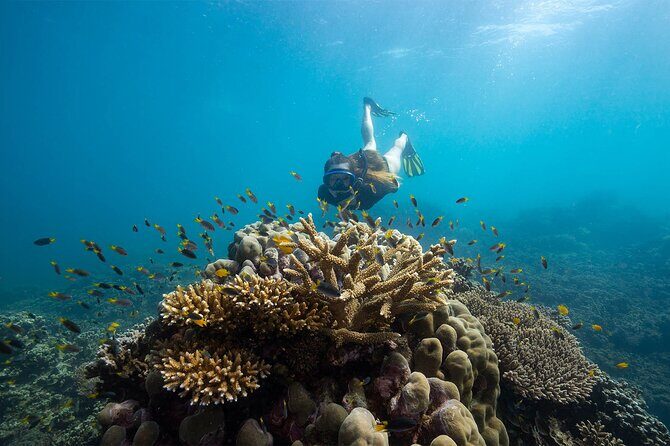 All Inclusive Day Tour to Frankland Islands Great Barrier Reef - The Sum Up