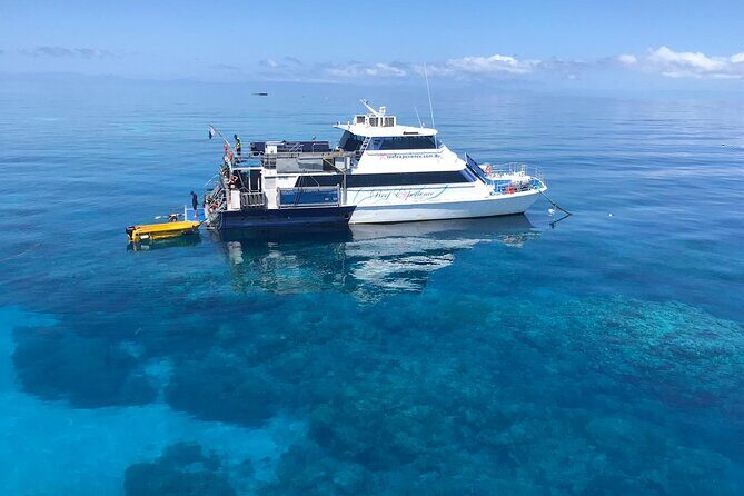 All Inclusive Great Barrier Reef Cruise w optional Scuba Diving - A Day on the Reef: What to Expect