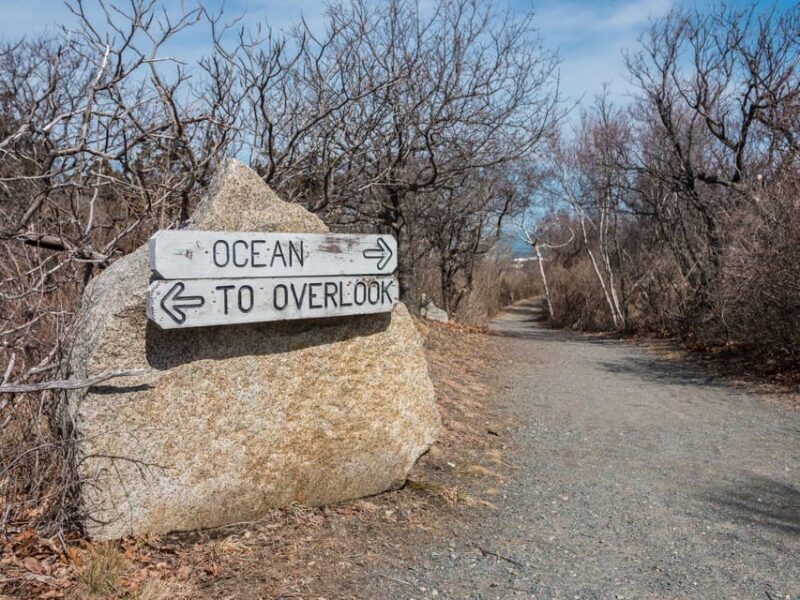 All-Inclusive Guided Food Tour in New Bedford - Discovering New Bedford: A Practical Guide to the All-Inclusive Food Tour