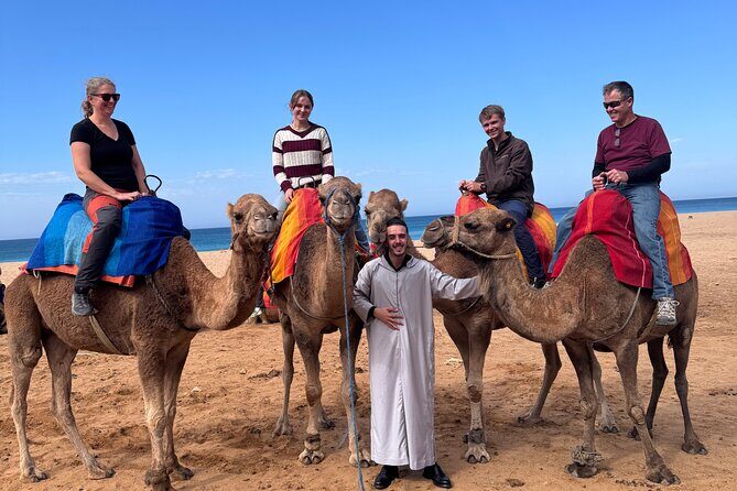 All-Inclusive Luxury Day Trip from Tarifa to Tangier - Key Points