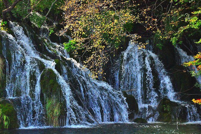 All inclusive luxury daytrip Plitvice Lakes from Split or Trogir - Authentic Experiences Shared by Travelers