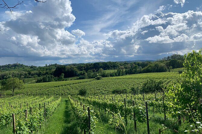All inclusive Private Prosecco Hills Tour - 2 Wineries and Lunch. - Who Should Consider This Tour?