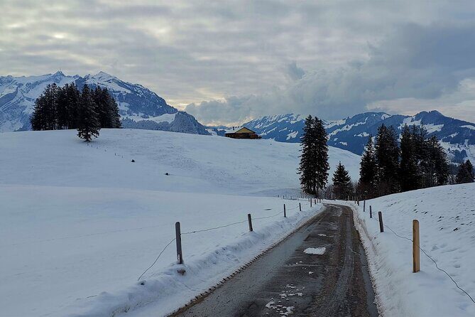 All Inclusive Rhine Falls and Appenzell Private Day Tour from Zurich - Authentic Experiences and Insights