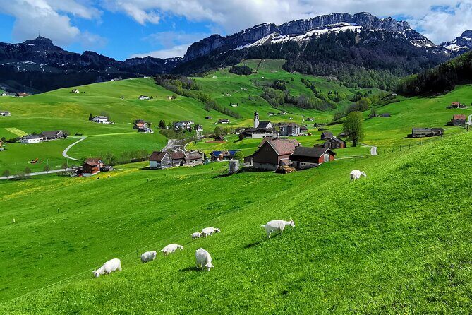 All Inclusive Rhine Falls and Appenzell Private Day Tour from Zurich - Who Would Love This Tour?