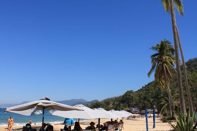 ALL INCLUSIVE Snorkeling and Zipline Cruise - The Sum Up: Who Will Love This Tour?