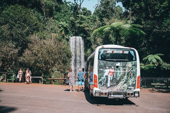 All Inclusive Waterfalls and Rainforest Tour from Cairns - Final Stops and Return to Cairns