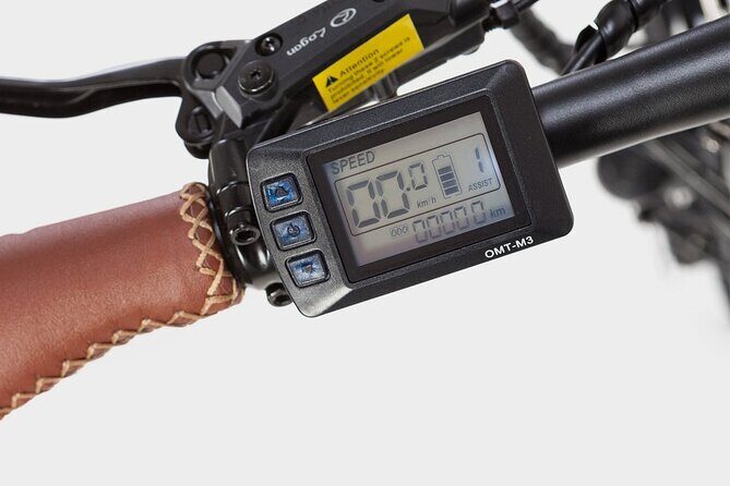 All Madrid: Private City Electric Bicycle Tour - In-Depth Look at the Tour Experience