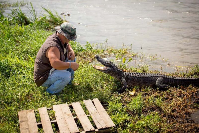 Alligator Swamp Tour by Gray Line New Orleans - Alligator Swamp Tour by Gray Line New Orleans: An Authentic Bayou Experience