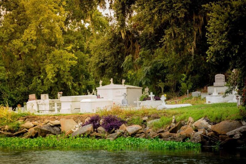 Alligator Swamp Tour by Gray Line New Orleans - The Sum Up