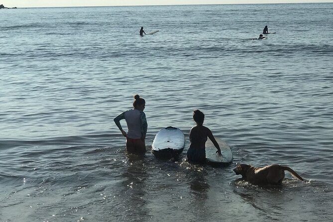 Almar Surf & Skate School: Surflessons in Bahia de Banderas - The Beaches and Locations: Sayulita & La Lancha
