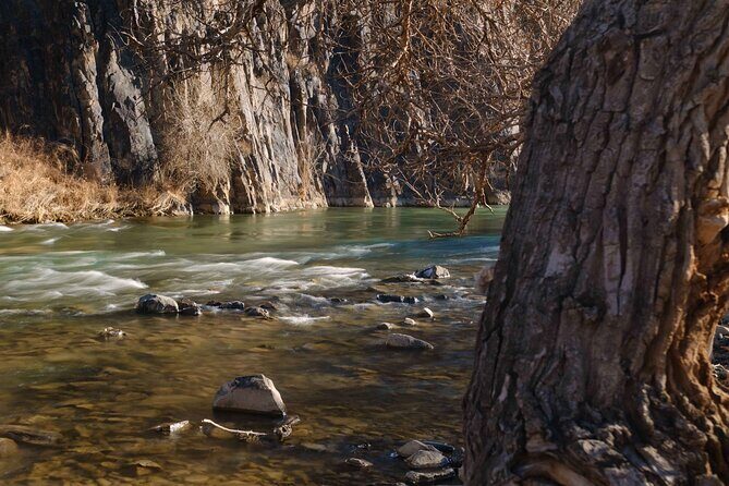 Almaty Wonders Charyn Canyon and Kolsay Lake in One Day - The Sum Up: Who Should Book This Tour?