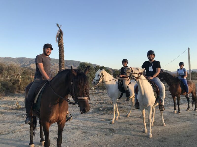 Almeria: Horse Riding Tour Through the Tabernas Desert - Setting the Scene: What is the Horse Riding Tour Through the Tabernas Desert?