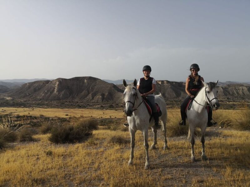 Almeria: Horse Riding Tour Through the Tabernas Desert - What to Expect from the Tour