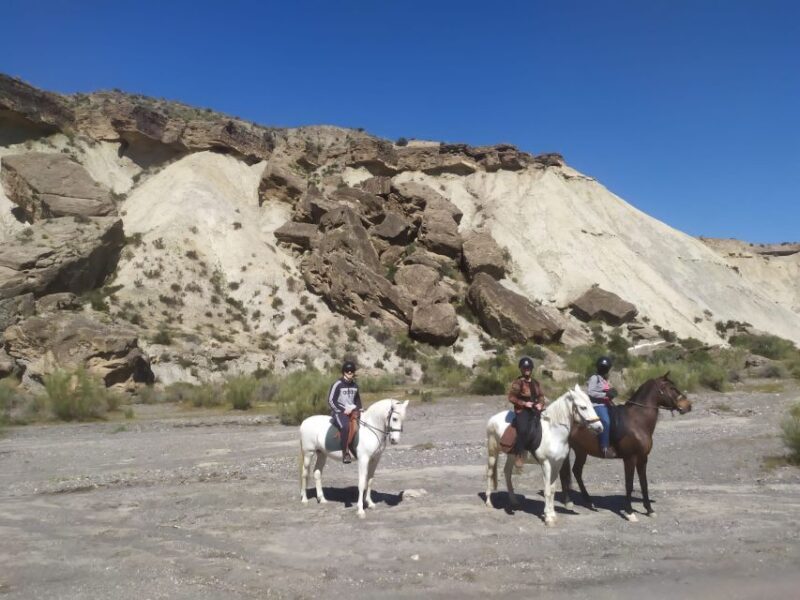 Almeria: Horse Riding Tour Through the Tabernas Desert - Why the Scenery Matters