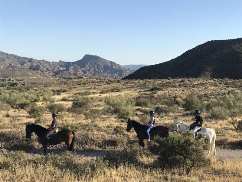 Almeria: Horse Riding Tour Through the Tabernas Desert - Tips for a Smooth Experience
