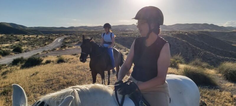 Almeria: Horse Riding Tour Through the Tabernas Desert - Authentic Reviews: What Riders Are Saying