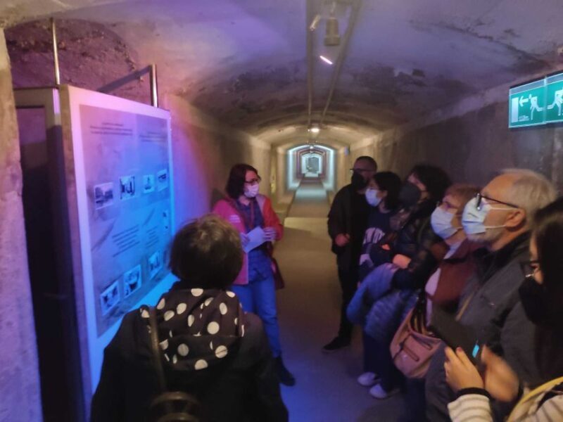 Almeria: Spanish Civil War Shelters Ticket and Official Tour - In-Depth Look at the Itinerary