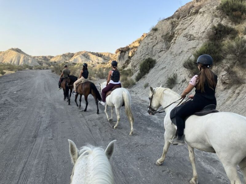 Almeria: Tabernas Desert Horse Riding for experienced riders - An Authentic Ride Through Europe’s Only Desert