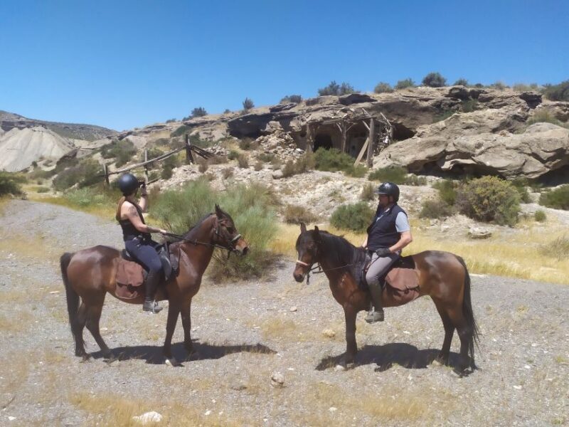 Almeria: Tabernas Desert Horse Riding for experienced riders - Is This Tour Worth the Cost?