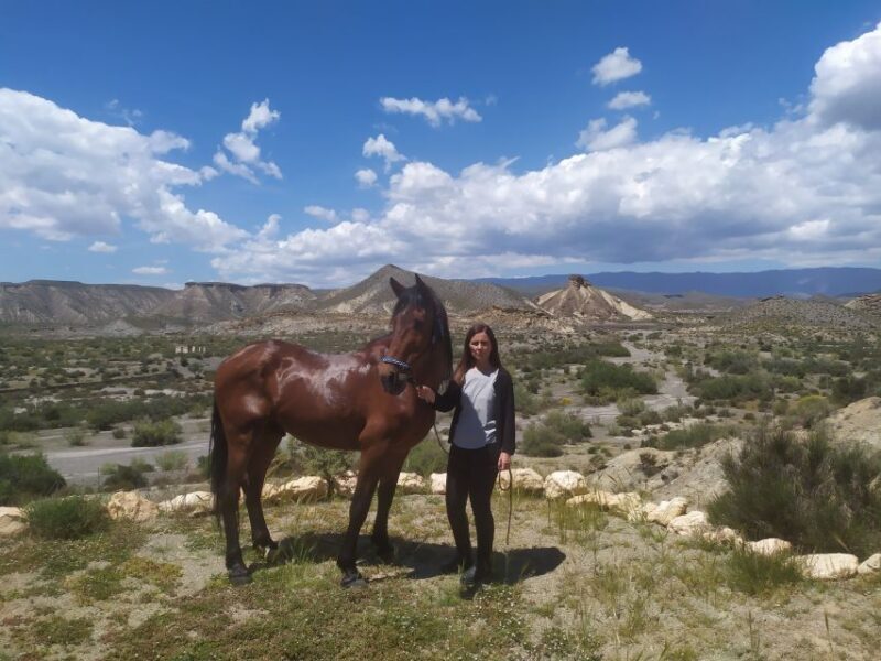 Almeria: Tabernas Desert Horse Riding for experienced riders - The Experience for Different Types of Riders